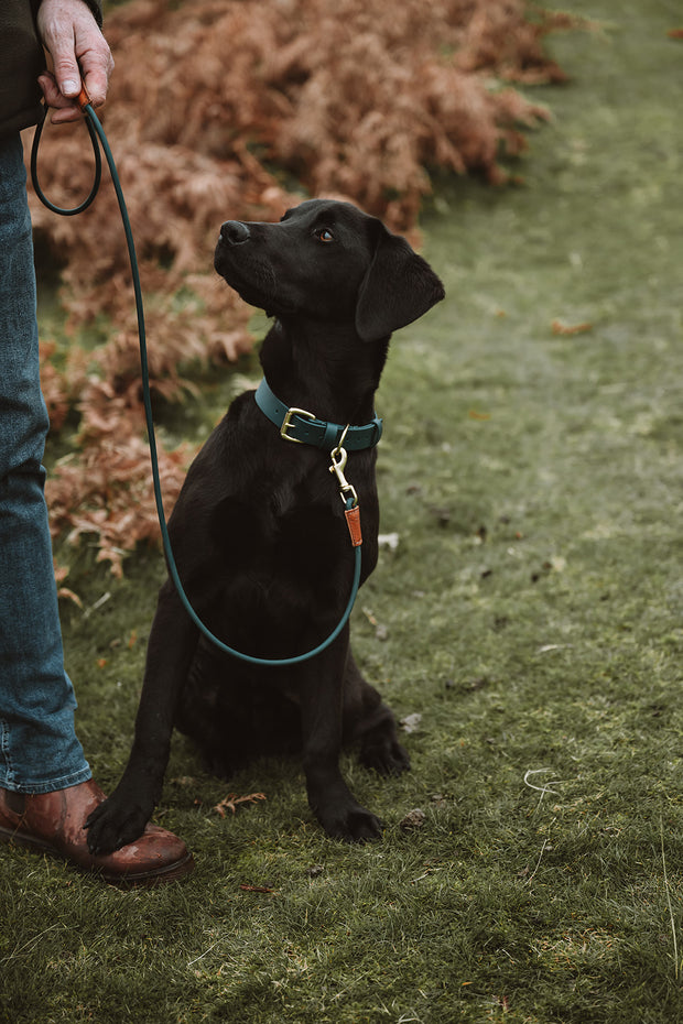 Biothane All Weather Rope Slip Lead – Mackenzie & George